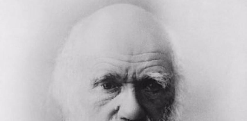 "Se cumplen 141 años de la muerte de Darwin. Su pensamiento en 8 citas ...