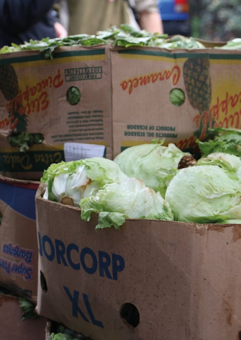 ¿Cuánto pierdes tirando comida sobrante a la basura?