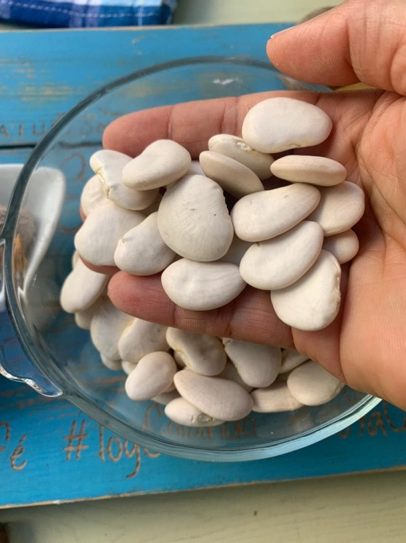 Las habas, igual que las habichuelas, se emplean en la preparación de ...