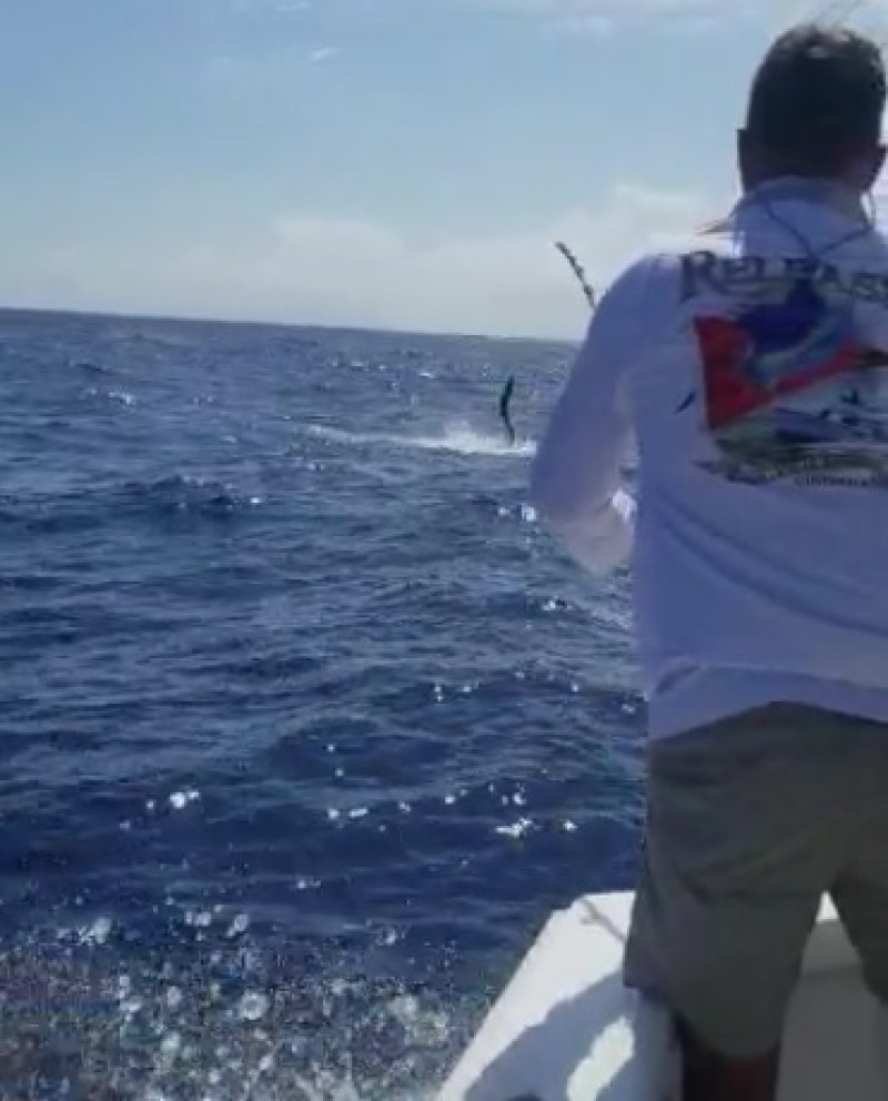 Los Modelos” toma comando en pesca al Marlin Blanco"| Listín Diario