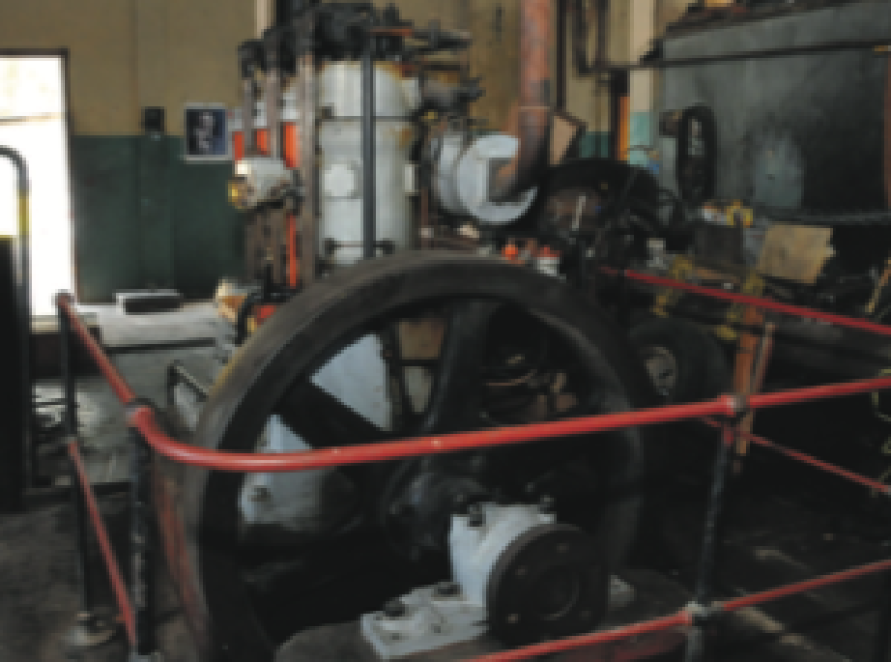 "El mabí seibano es un placer sensual"| Listín Diario